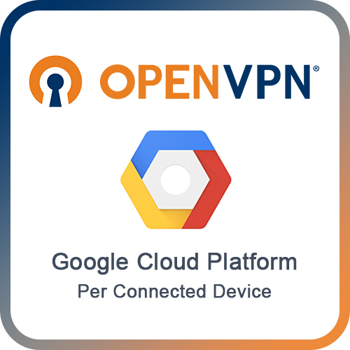 VSM365 - OpenVPN